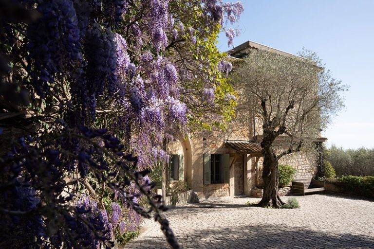 An Interview with Rayo Withanage. Founder and Chairman of The BMB Group ...